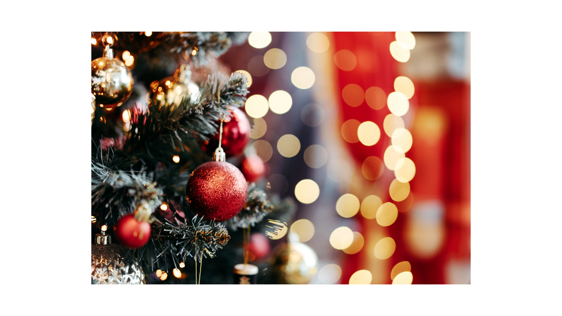 Seasonal – Dougie Rose Soap